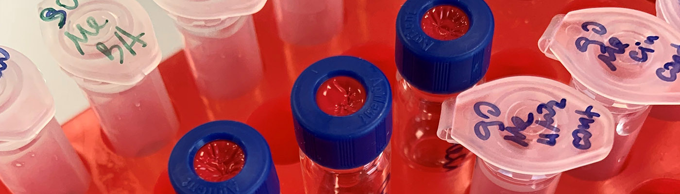 Andrew Carnell - IBIC people directory